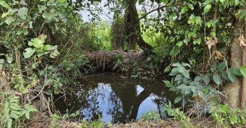 Kẻ sát hại nhân viên quán cà phê khai ăn trái cây rừng, uống nước mương ...